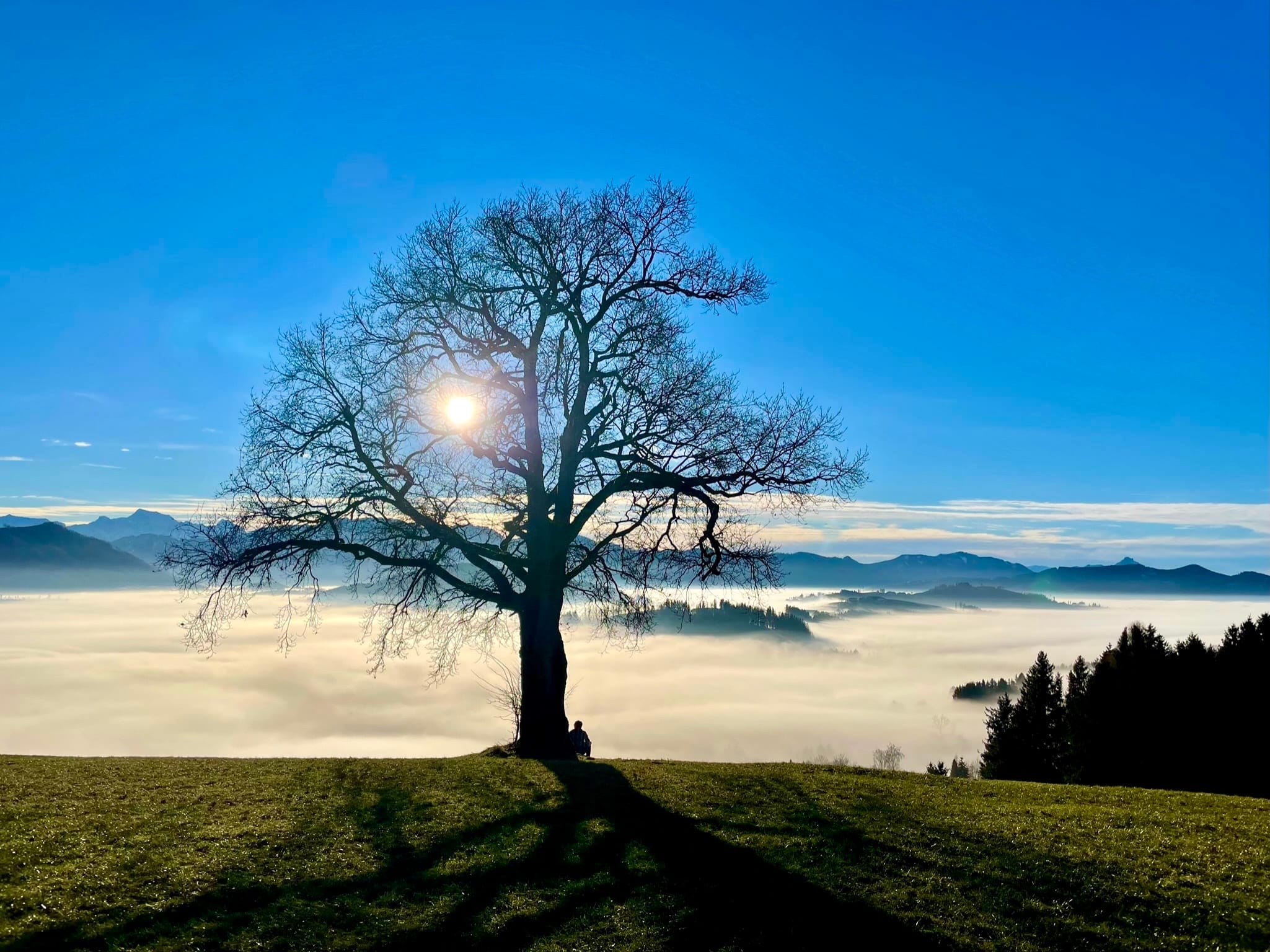 "Innere Ruhe: Die 3 Prinzipien geben uns ein besseres Verständnis für ...